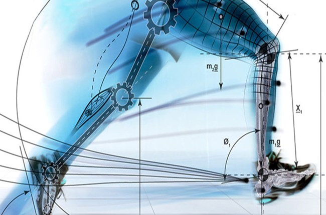 Podiatric Musculoskeletal Assessment | Firefly Foot & Ankle Clinics